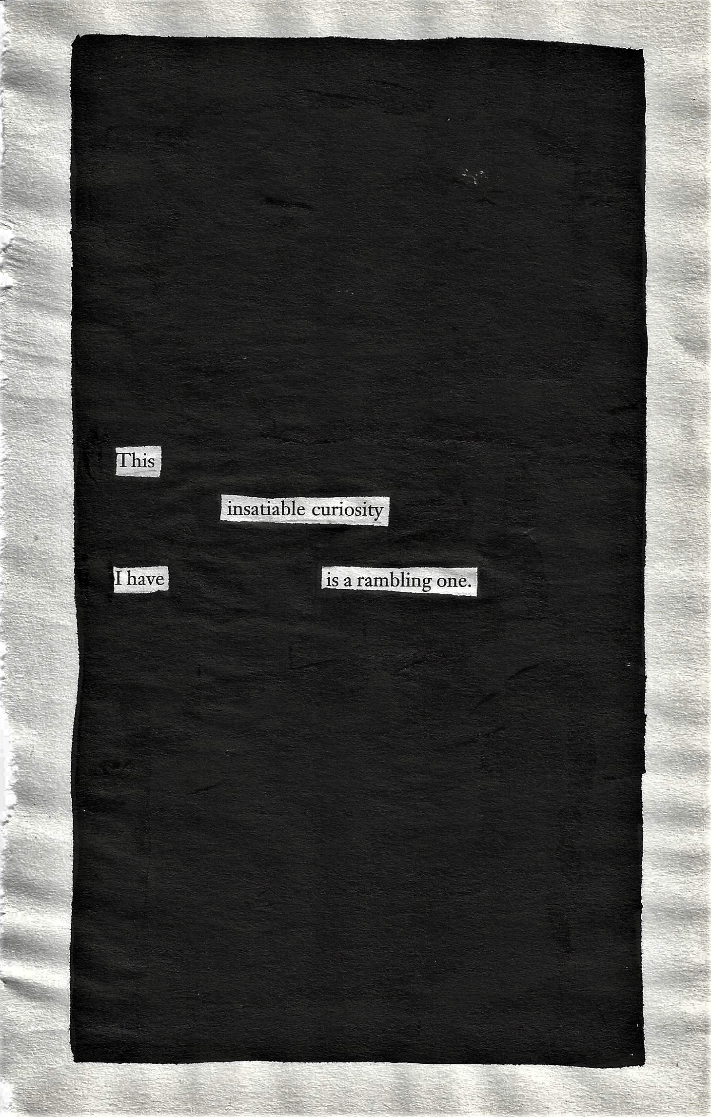 Insatiable Curiosity - Blackout Poetry Notes